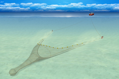 Demersal Trawl – Flying Fish Seafoods